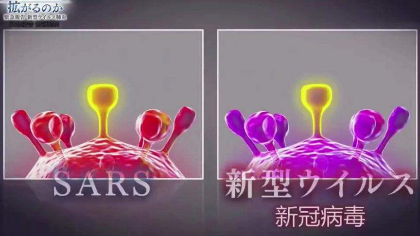 纪录片;疫情会扩大到何种程度,新型冠状病毒肺炎的紧急报告