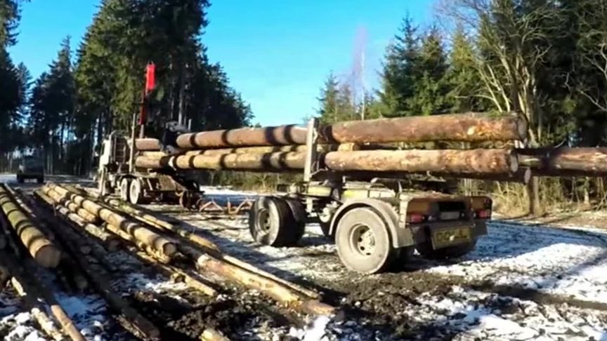 国外砍伐树木,叫来的运输车队太牛了