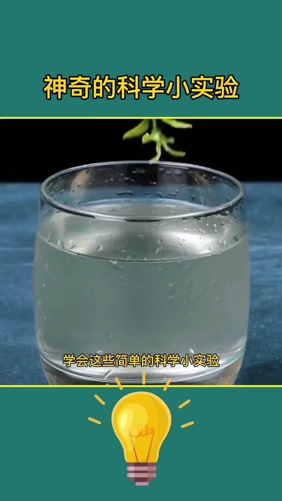 学会这些简单的科学小实验