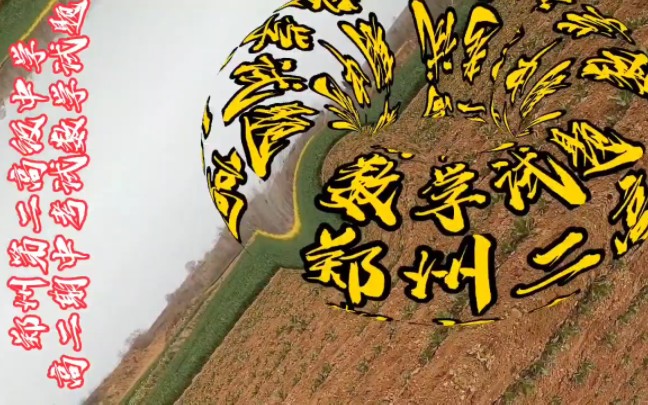 郑州第二高级中学高二期中考试数学试题