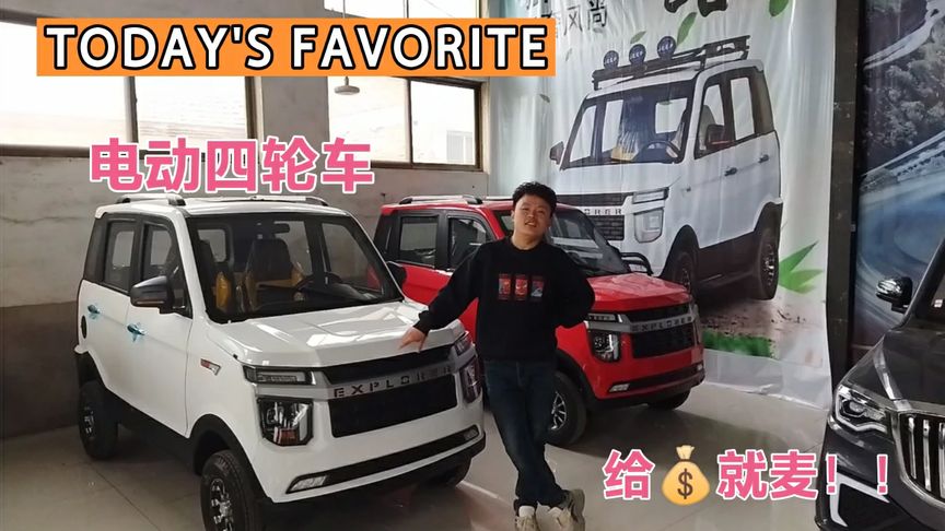 新能源低速电动四轮车