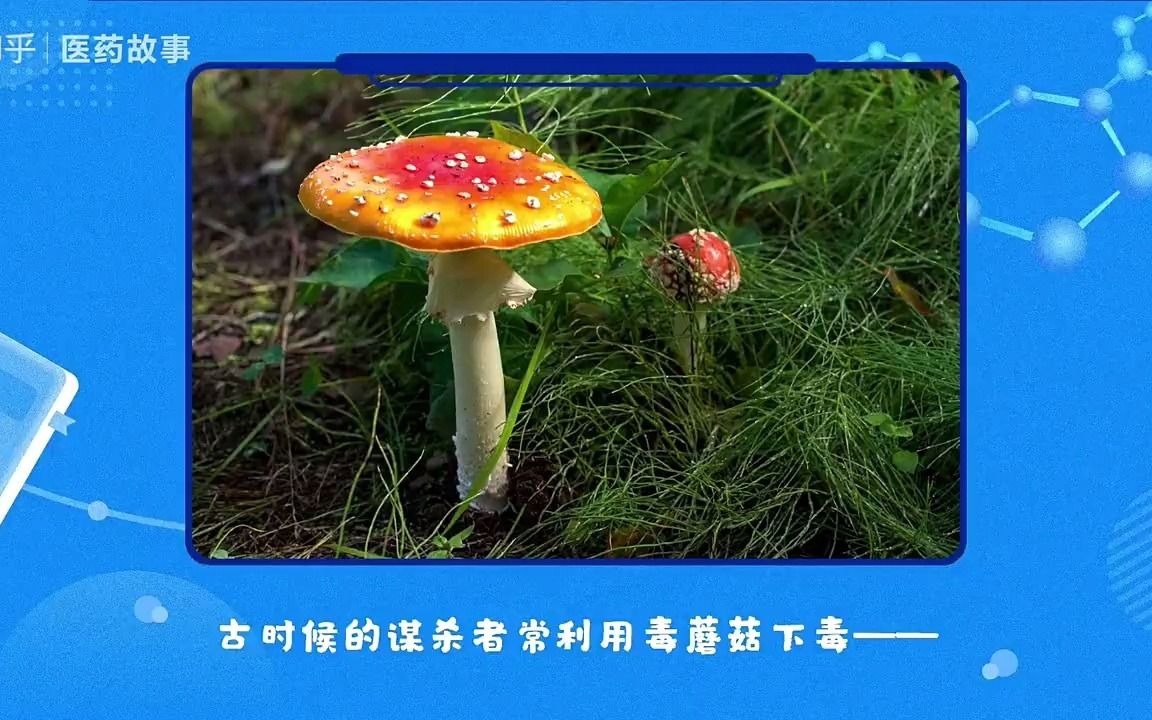 12 毒蕈之碱——话说M受体