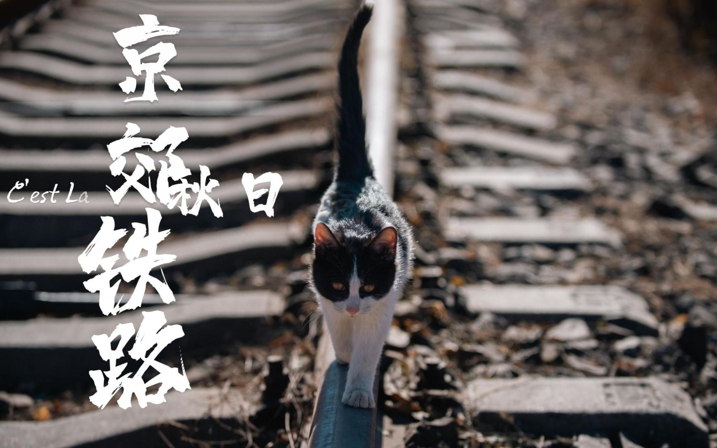 ...铁轨,沧桑工业遗迹,秋日郊游好去处 | 北京门头沟野溪站百年京门铁路