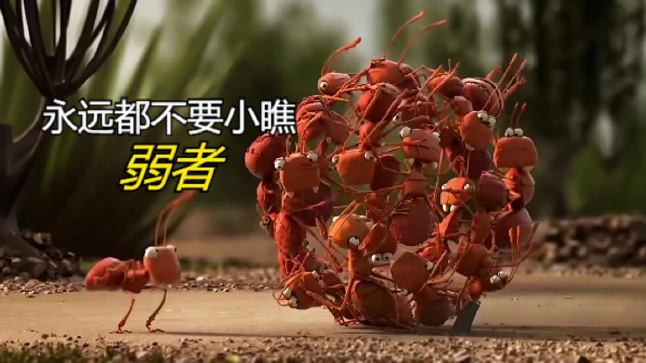 弱小如何战胜巨无霸,高分励志动画短片《团结就是.