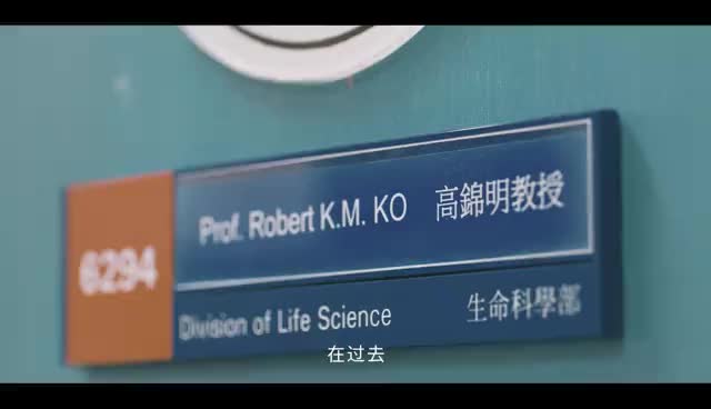 圣德芬企业广告片空气净化系统杀菌消毒除异味