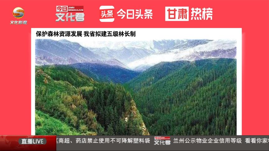 保护森林资源发展 我省拟建五级林长制