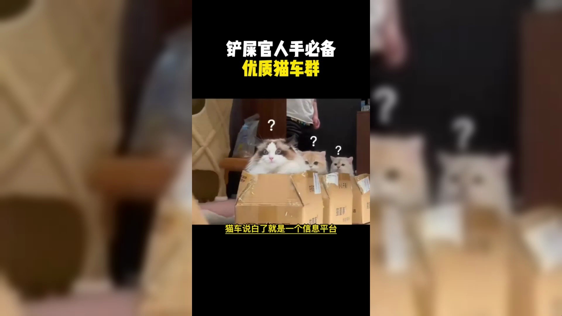 白菜价30元元到手④科大讯飞智能无线鼠标直降百元了