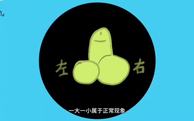 了解男性♂生殖器官