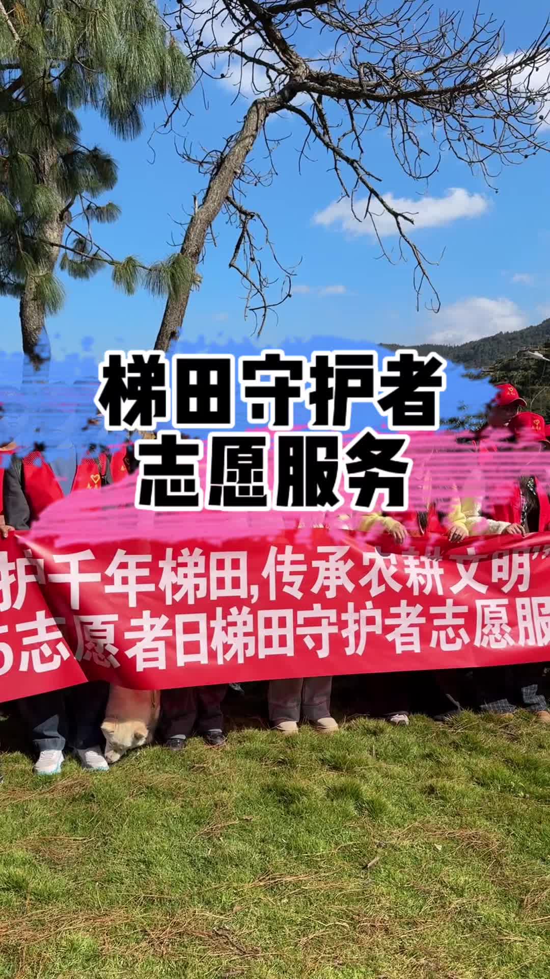 梯田守护者志愿服务今天开始啦,以后每个月都会组织一次哦#梯田守护...