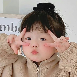 学霸的摆烂式学习 