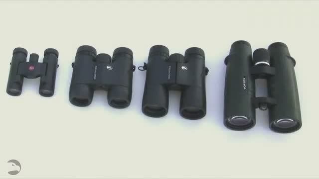 涨姿势,深入双筒望远镜:放大!双筒望远镜的使用经验分享