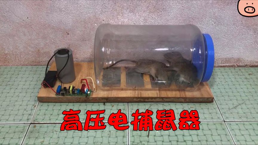 用电容diy高压放电捕鼠器,简单实用又安全