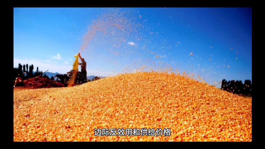 边际方效用和供给价格的关系,了解一下经济学,这么高大上?