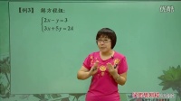 【五年级数学】:多元一次方程组
