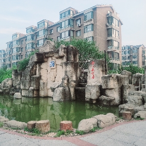 萝卜丸子7777 