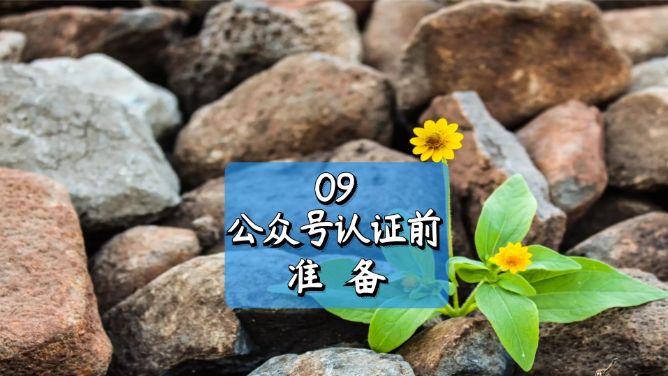公众号认证前的准备 #订阅号 #认证