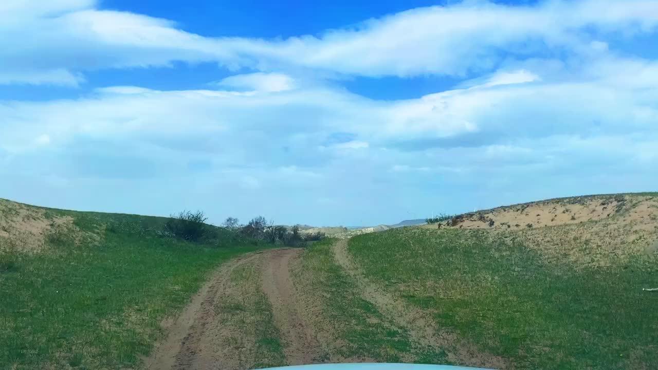 今日塞罕坝#塞罕坝国家森林公园 #今日草原 #出去看看外面的世界