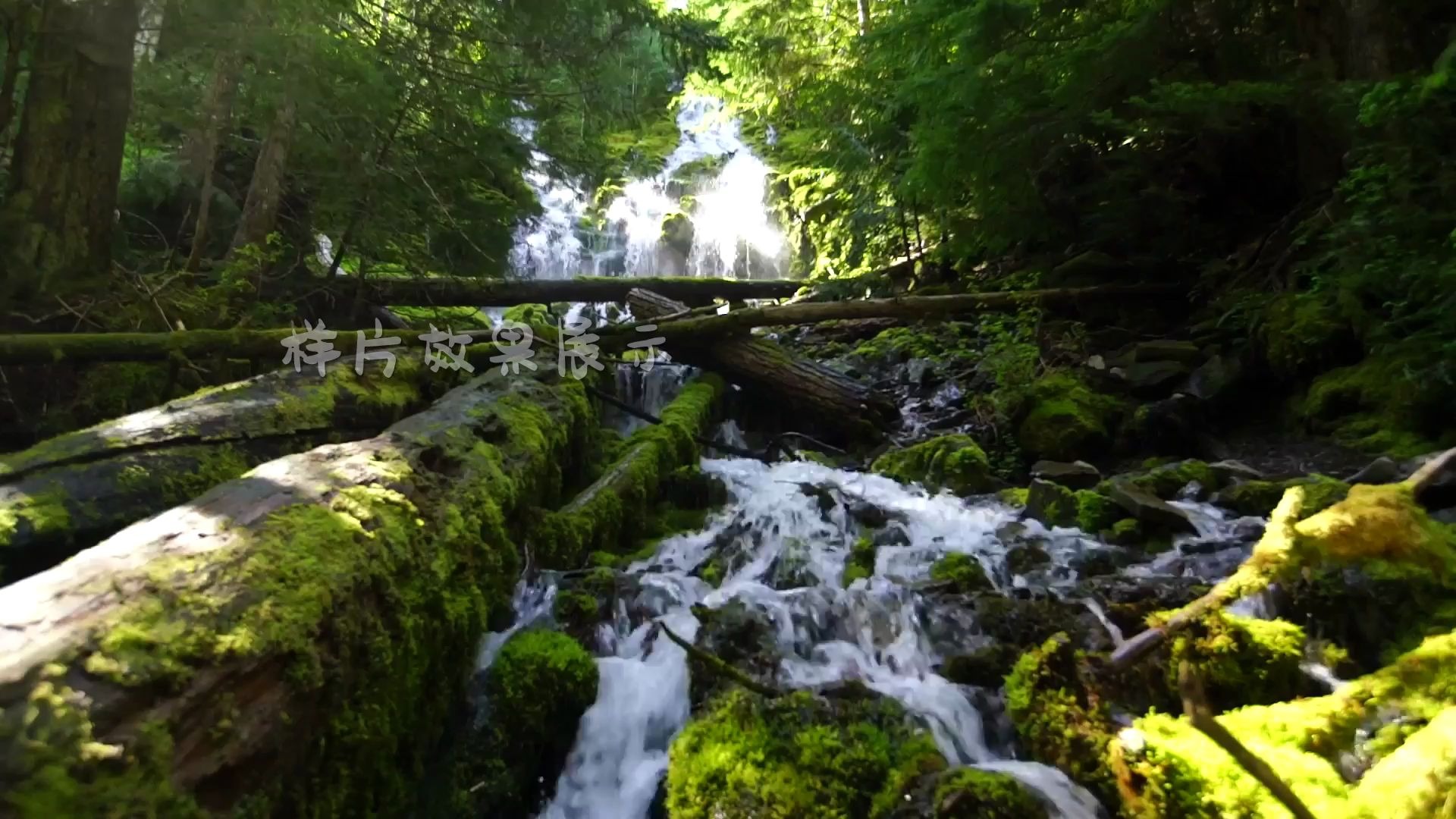 d86 野外山上小溪流水河流大自然美景景色绿色环保生态空镜头动态...