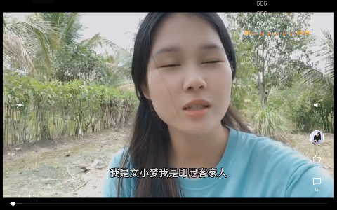 小妹带您欣赏,印尼当地华人～家乡农村的田园风光