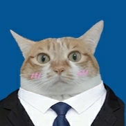 猫喵喵咪猫 