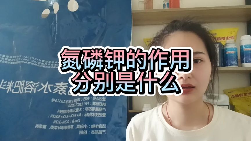 氮磷钾的作用分别是什么