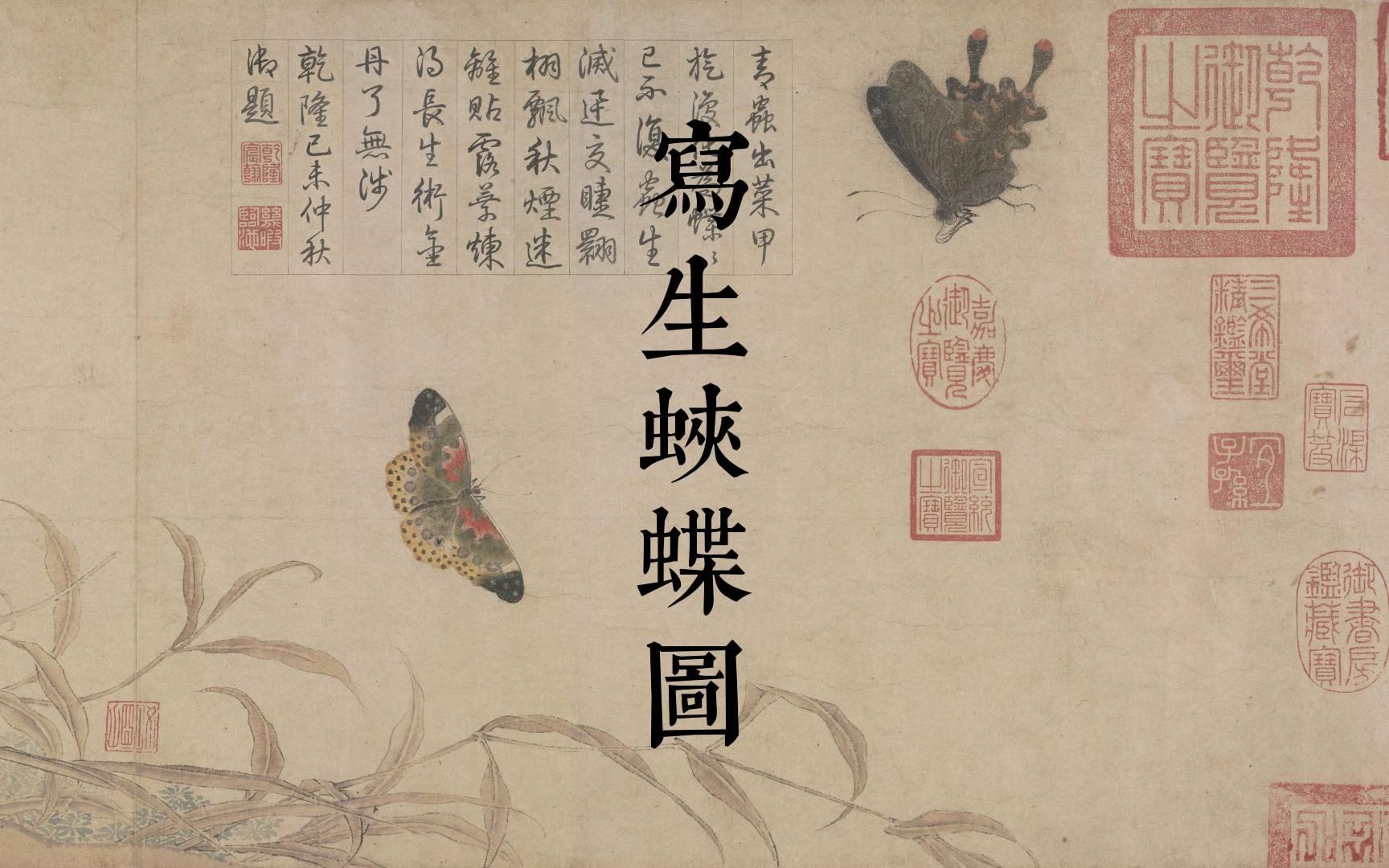 《写生蛱蝶图》三1官1偈清1微道宗