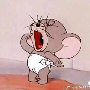 歪耳朵的电耗子 
