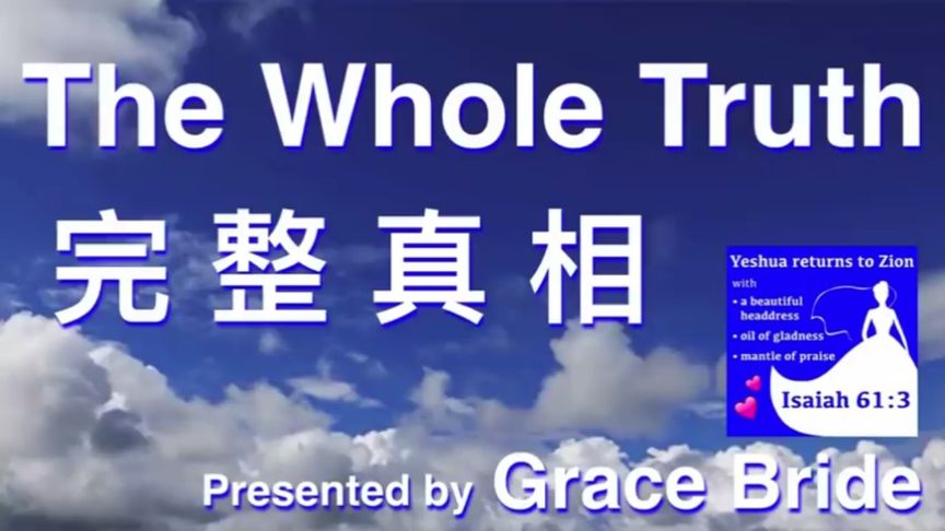 国外民间发布的“新冠病毒”调查报告,细思极恐!ߘ�ߘ