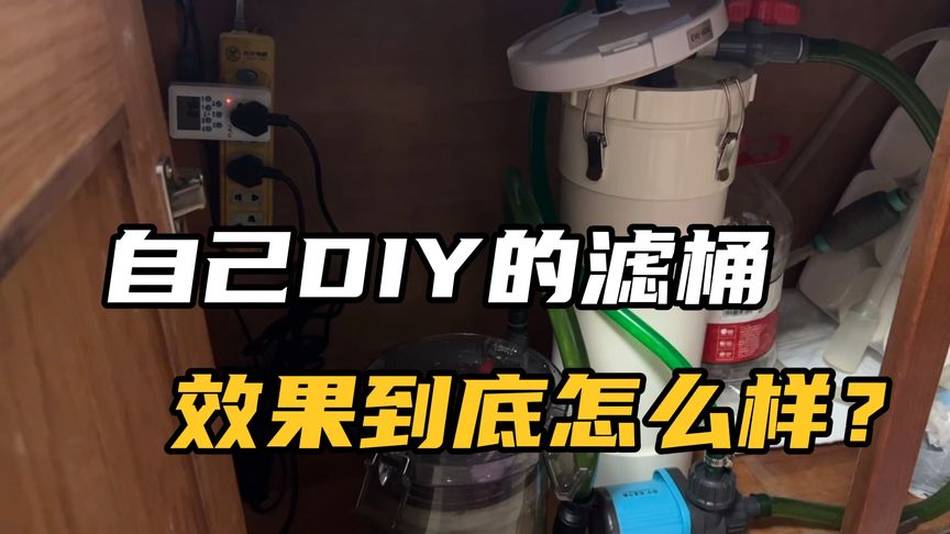 两个多月前自己制作的过滤桶,效果杠杠的,维护清洁也很简单