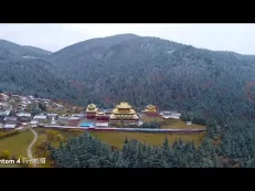 Phantom4 Pro 系列教学视频 - 指点飞行