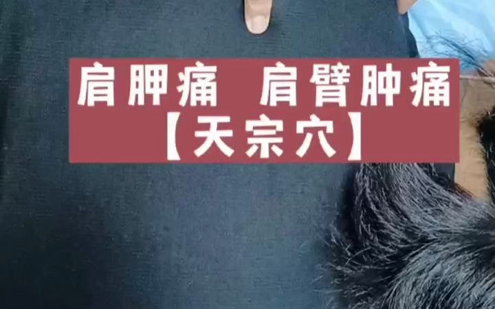 推拿按摩艾灸穴位学习-天宗穴