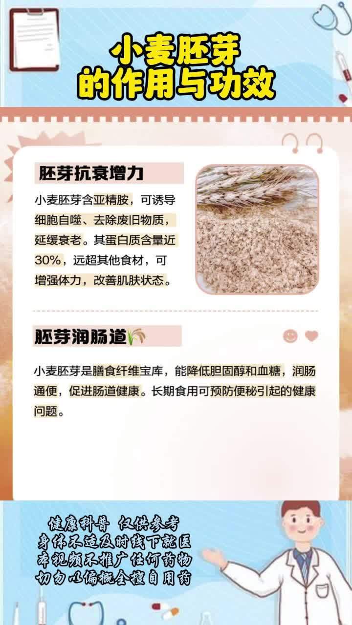 小麦胚芽的作用与功效,你知道吗?