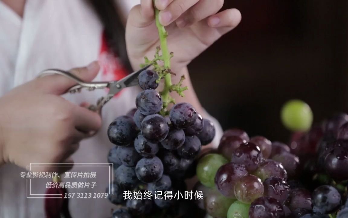 农产品品牌宣传片/推广宣传片/创意宣传片/宣传片制作