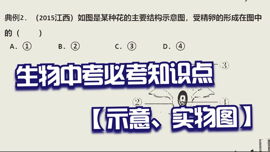 生物中考必考知识点【示意、实物图】