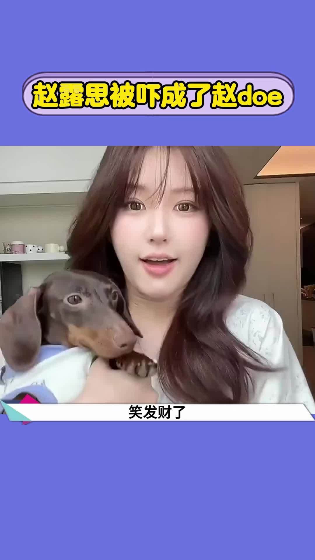 赵露思被吓成了赵doe