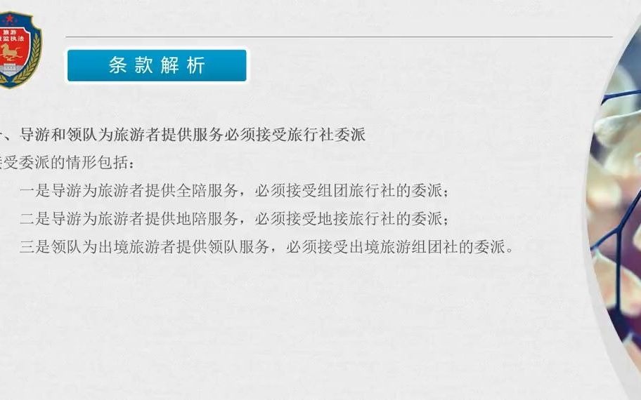 (11.6)导游政策法规、典型案例解析及应急处理(1)-迅捷PDF转换器