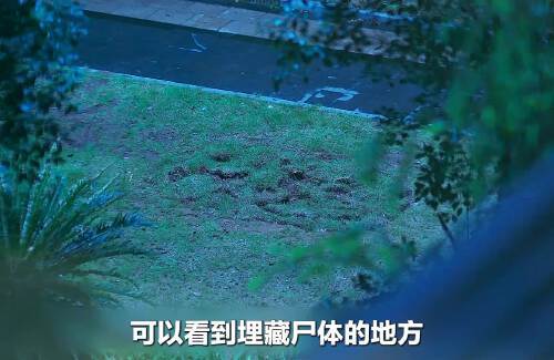 悬疑电视剧之刑侦12 02:无意间的发现竟成了破案的线索