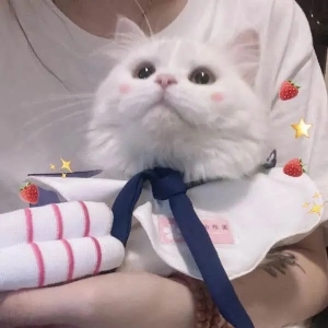 史学小萌新 