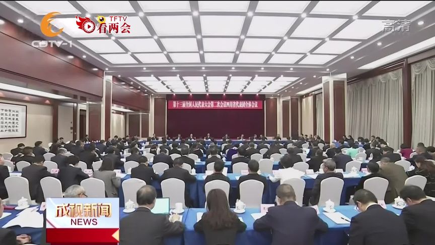 四川代表团举行全体会议和小组会议