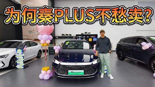 7.98万起售!秦PLUS DM-i价格屠夫,卡罗拉该如何接招?