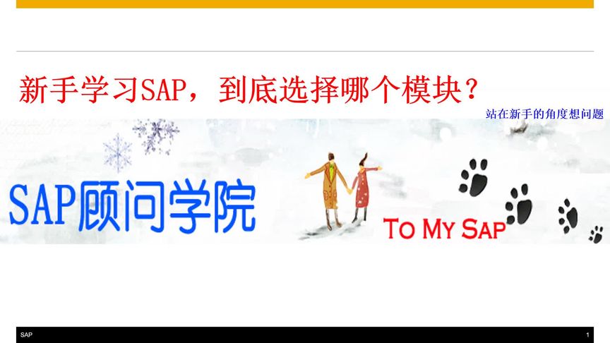 新手学习sap,选哪个模块比较合适?MMSDPPFICO#sap培训 #erp