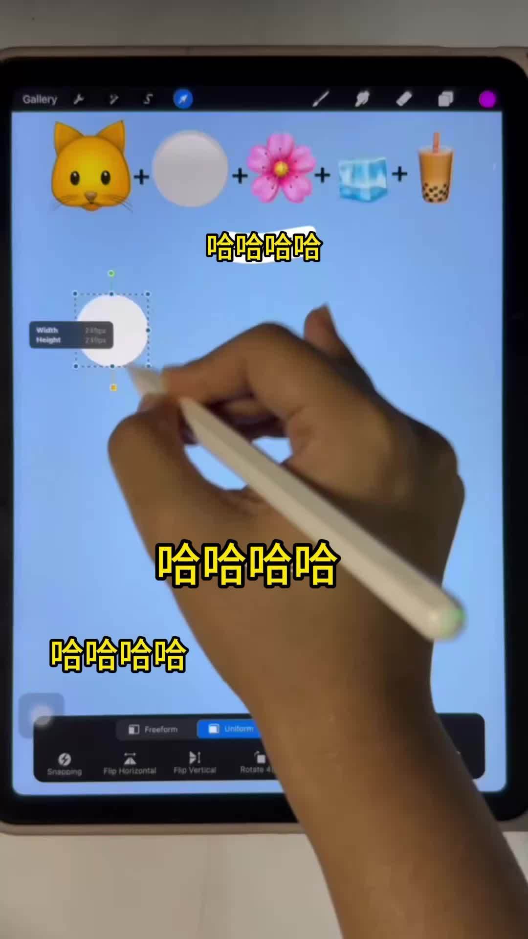 狐猫的简易画法!