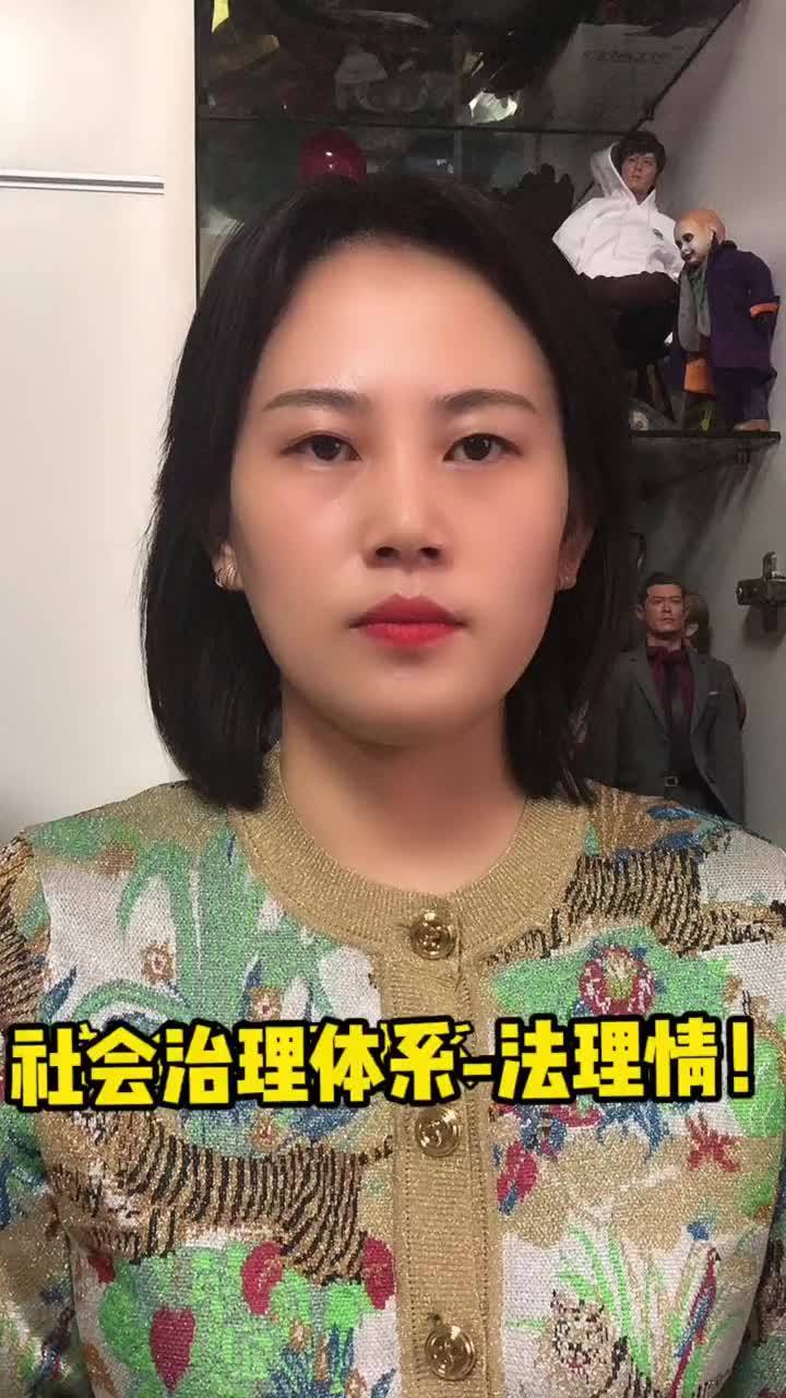 国法-事理-人情的法治体系
