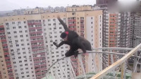 极限运动失误集锦:真正接近死亡的10个瞬间!网友:厉害!