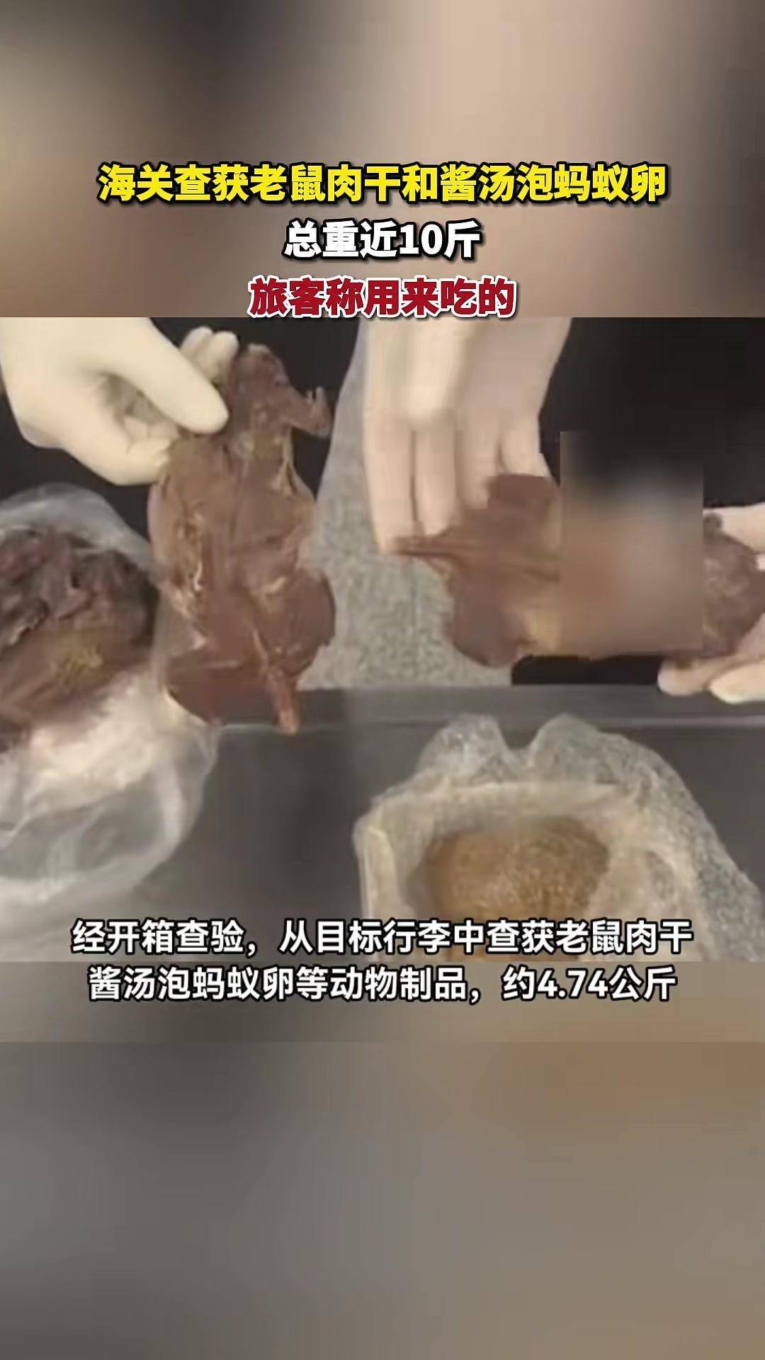 海关查获老鼠肉干和酱汤泡蚂蚁卵,总重近10斤,旅客称用来吃的