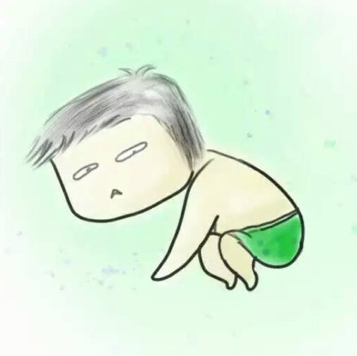 大款呀是只猫 