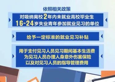 就业见习补贴怎么领取?权威解答→