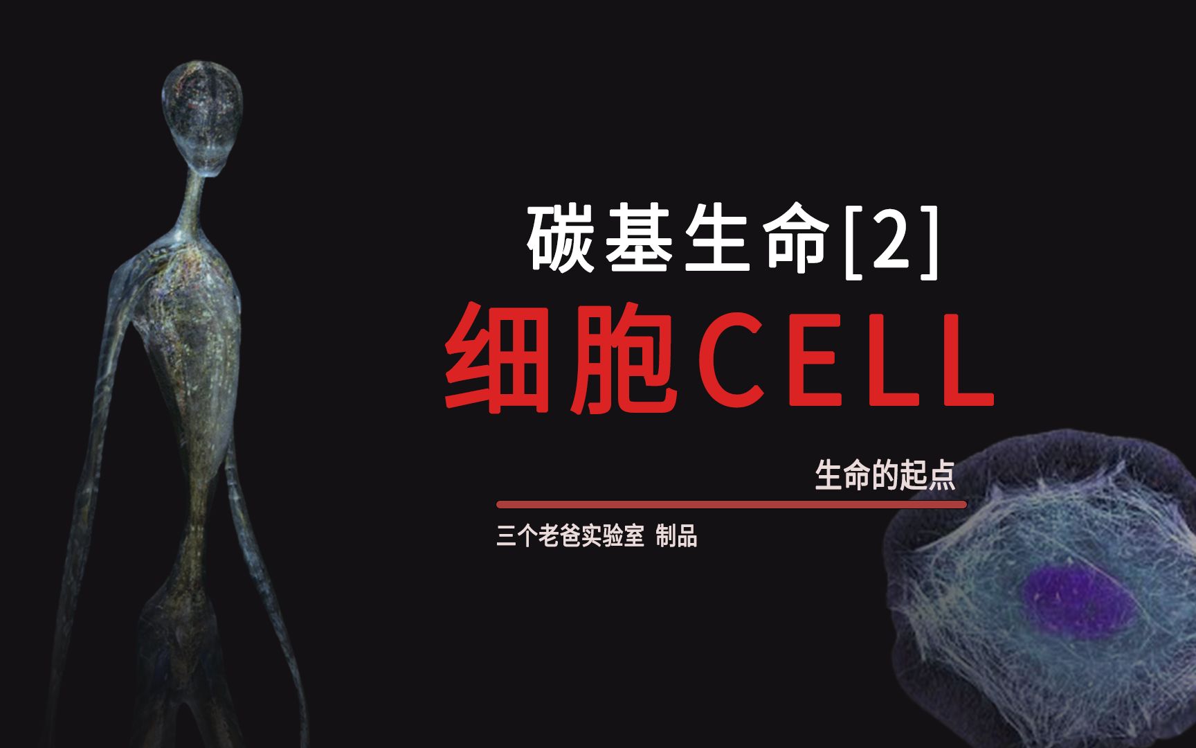【进化之路2】基因是如何操控生命体运作的?