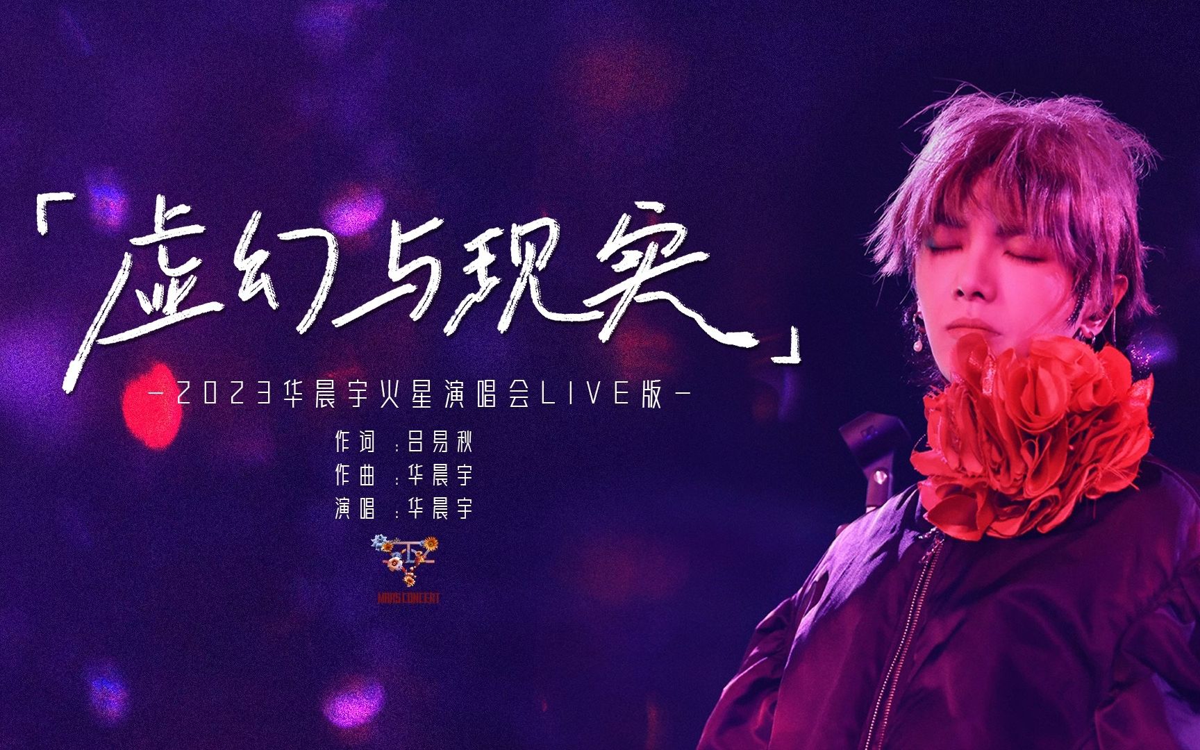 虚幻与现实(2023火星演唱会现场版)- 华晨宇