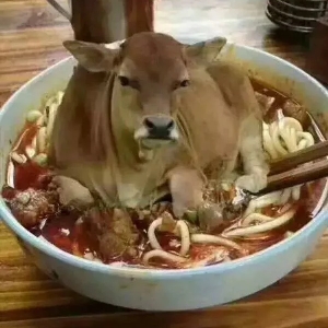 Kang丶D 